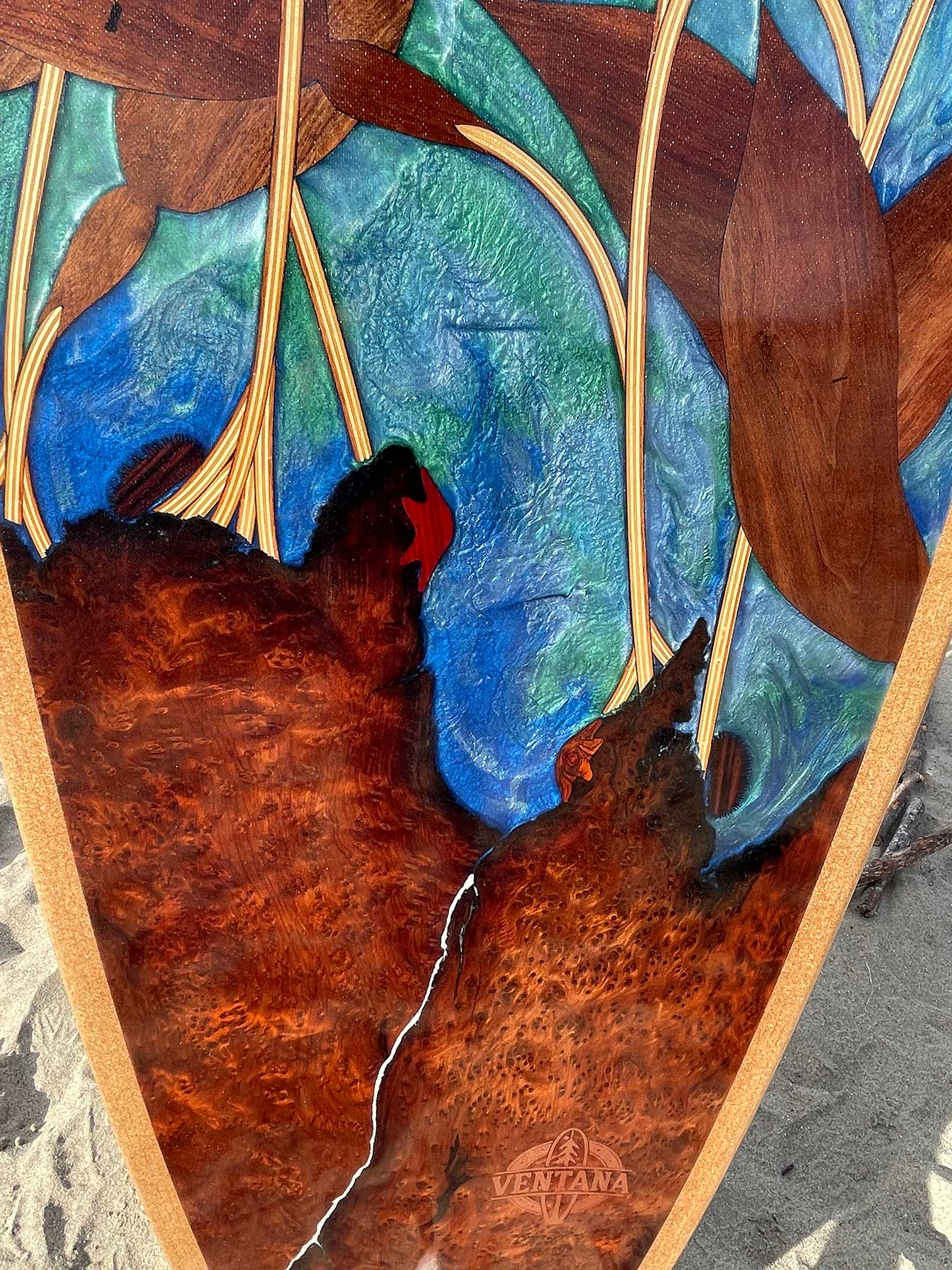 Vassallo Kelp Forest Bolt 9'6" – Ventana Surfboards & Supplies
